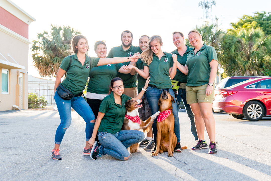 Memories of Great Dogs Last Forever - Dog and Puppy Trainers in Miami ...