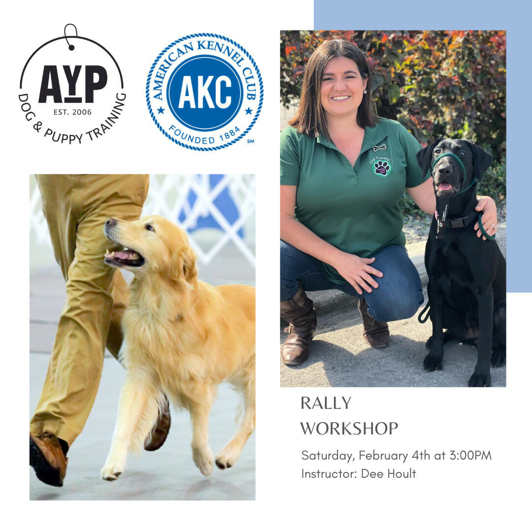 Rally Workshop- February 4th at 3:00PM - Applause Your Paws Canine ...