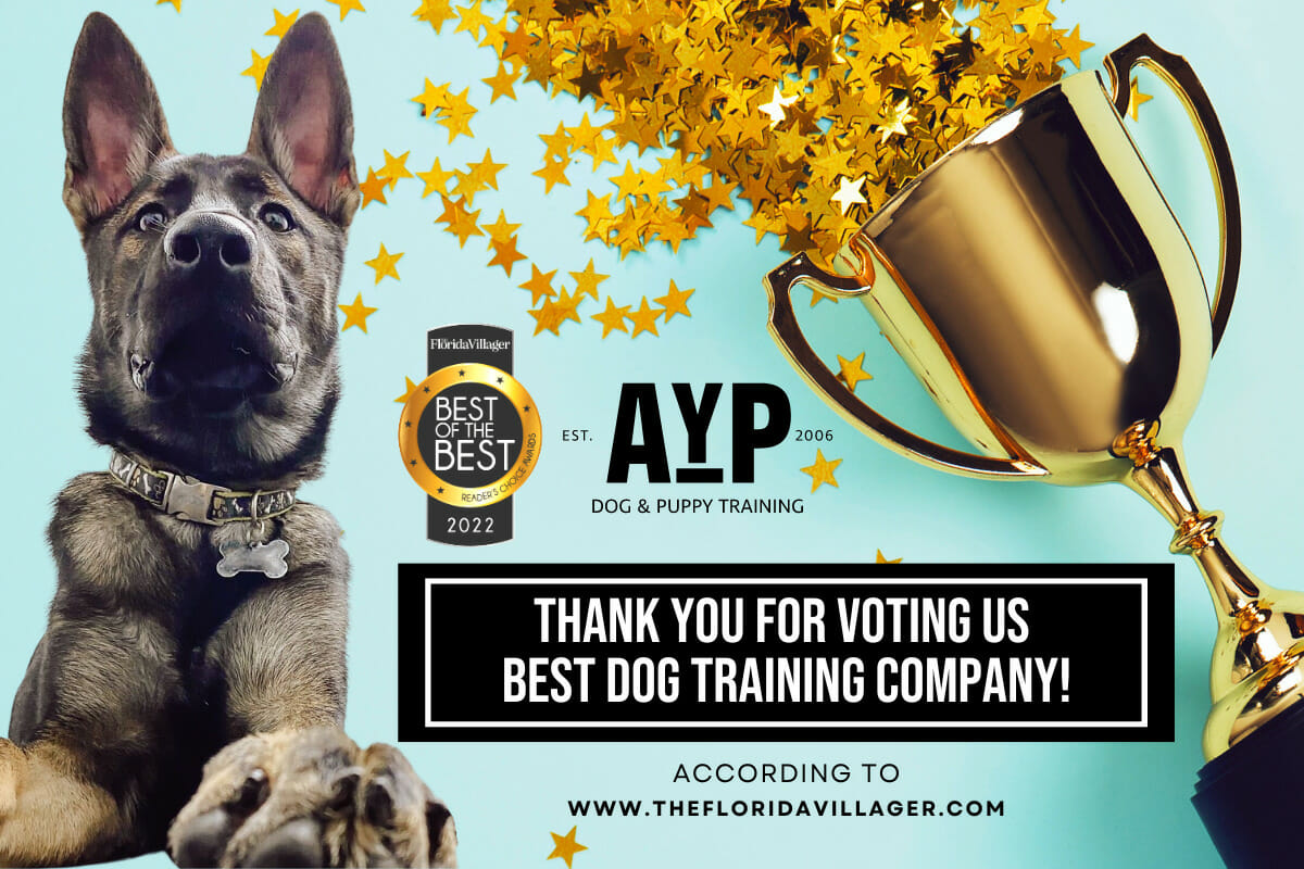 Blog - Applause Your Paws Canine Training Center