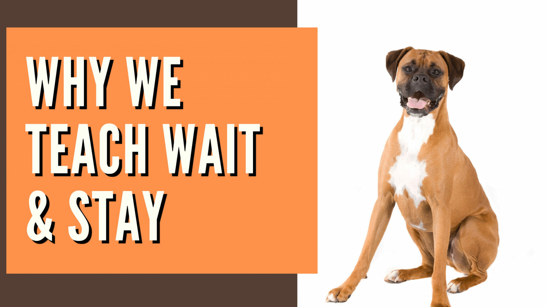 Why We Teach Wait & Stay