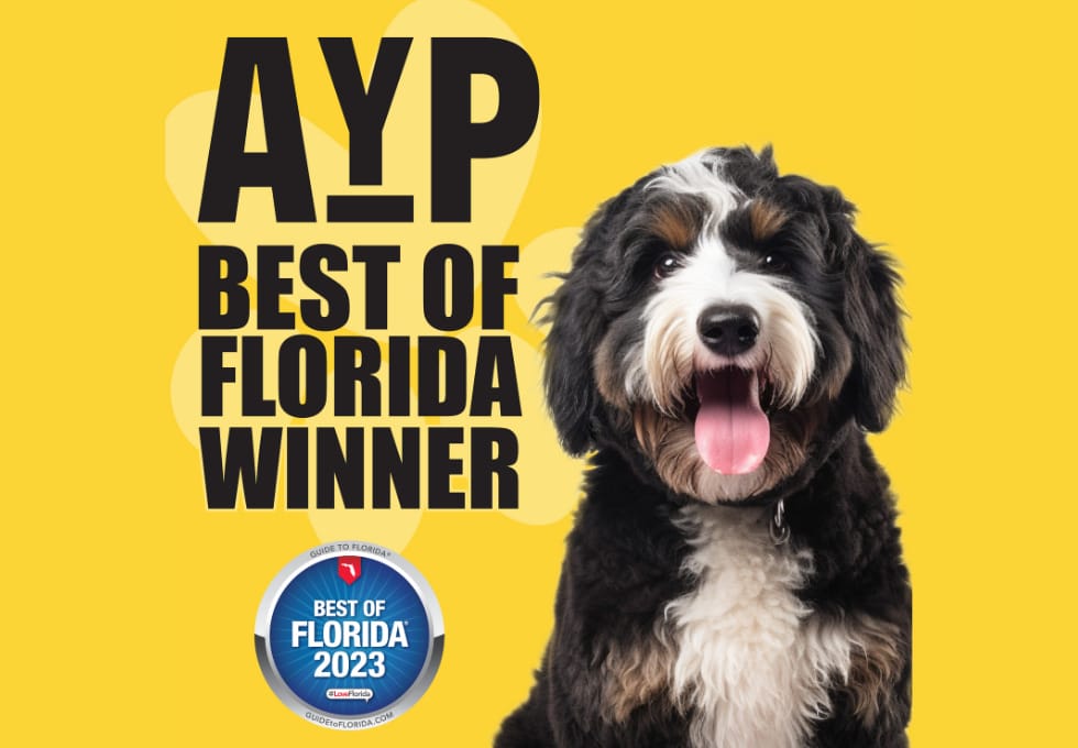 Applause Your Paws Canine Training Center